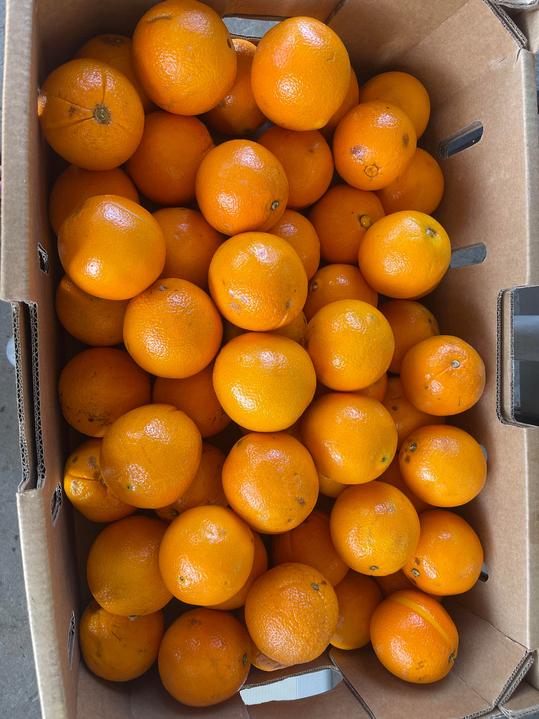 Valencia orange 10 kg box – Taste Before Waste